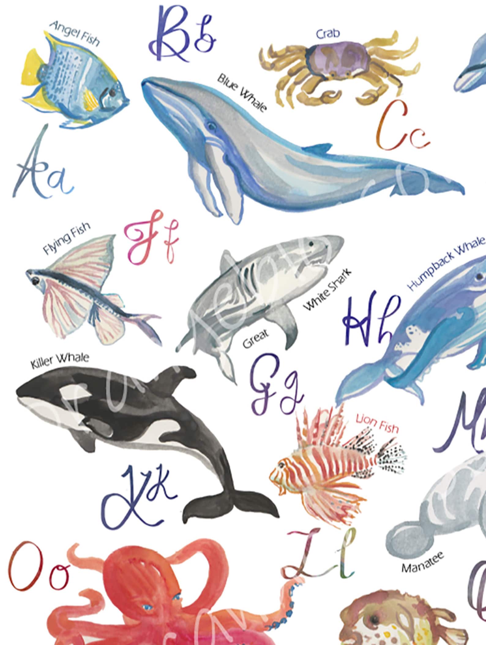 Sea Animals Alphabet Print A-Z Sea Creatures Nursery Art | Etsy