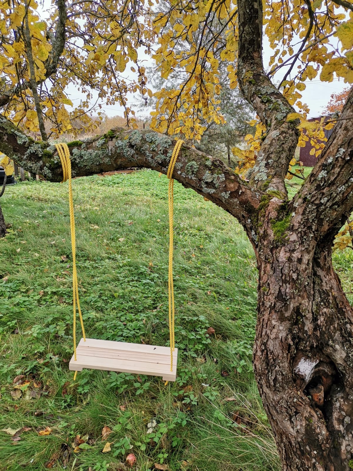 Swing de madera columpio de árbol columpio de madera con | Etsy