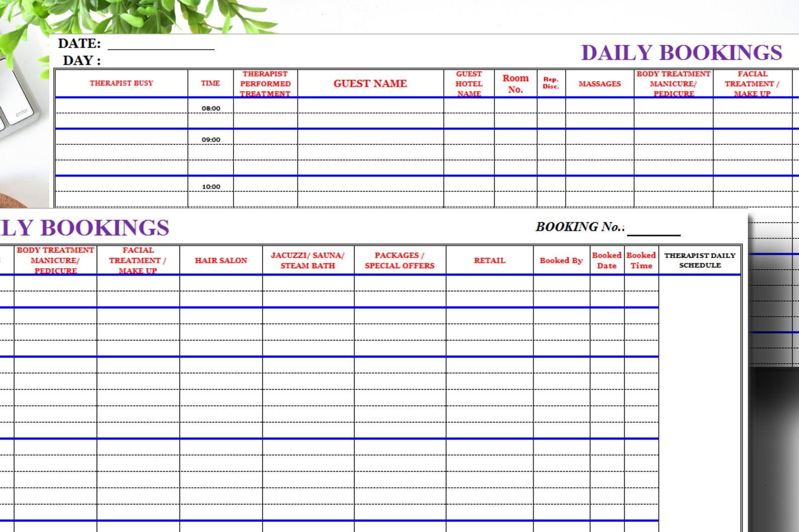 Spa Daily Bookings V02 Printable and Spreadsheet - Etsy