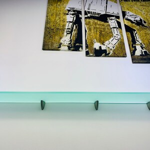 Perspex/acrylic Coloured Shelves FROSTED for Interiors - Etsy