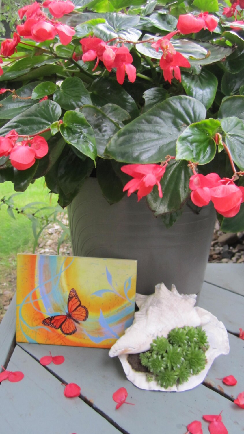 Monarch Ceramic Tile Angelito - Etsy