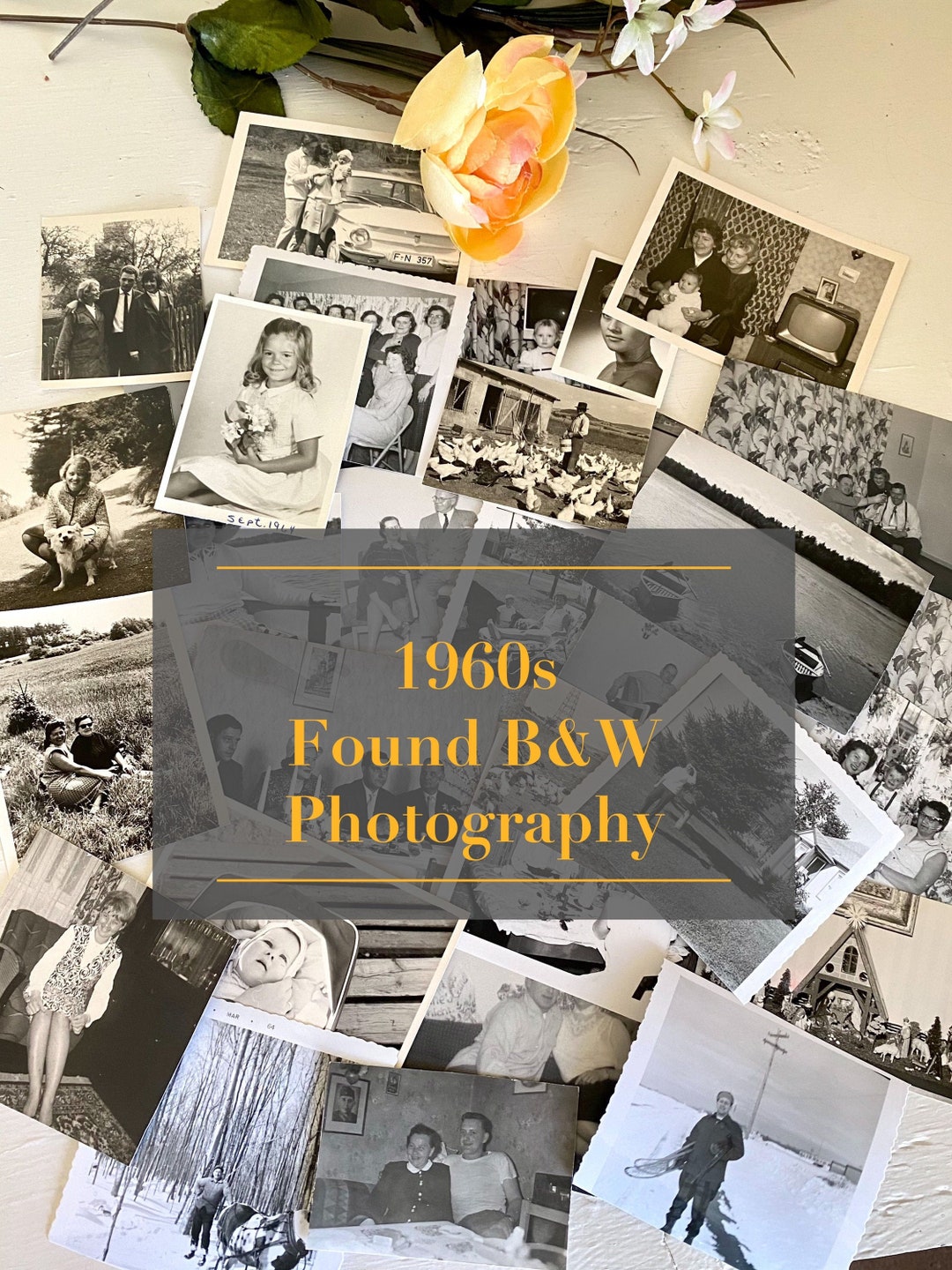 Vintage 1960s Random Mixed Photographs Found Objects Family Album ...