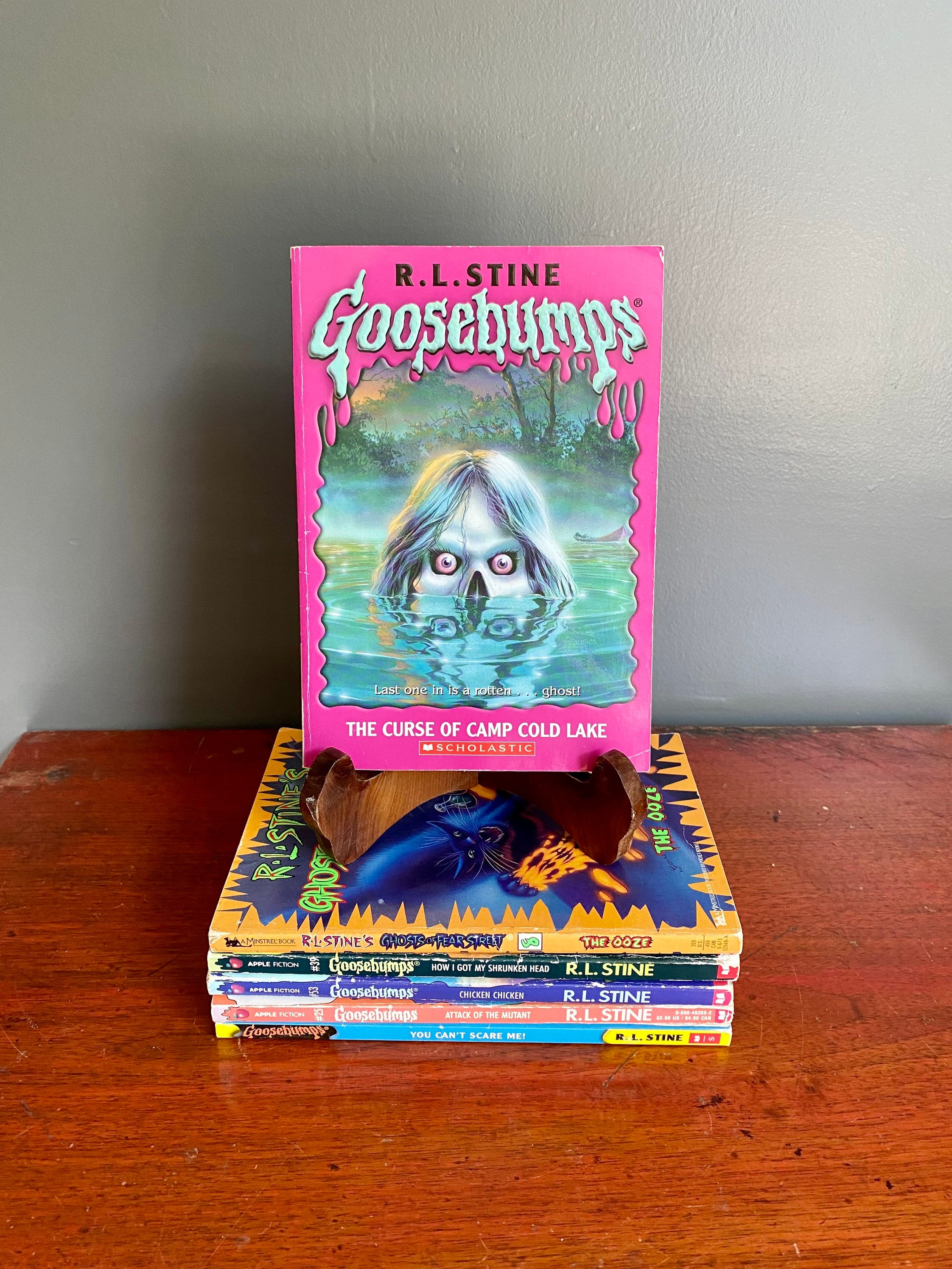 Ermahgerd Goosebumps My Favorite Books