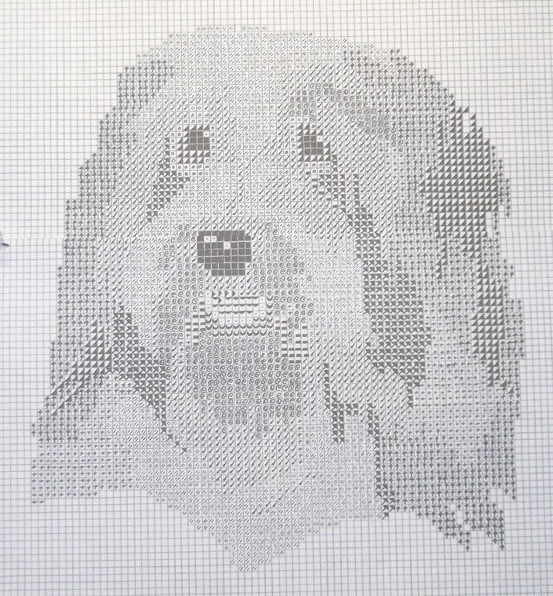 Bearded Collie 1 Dog Pattern - Etsy