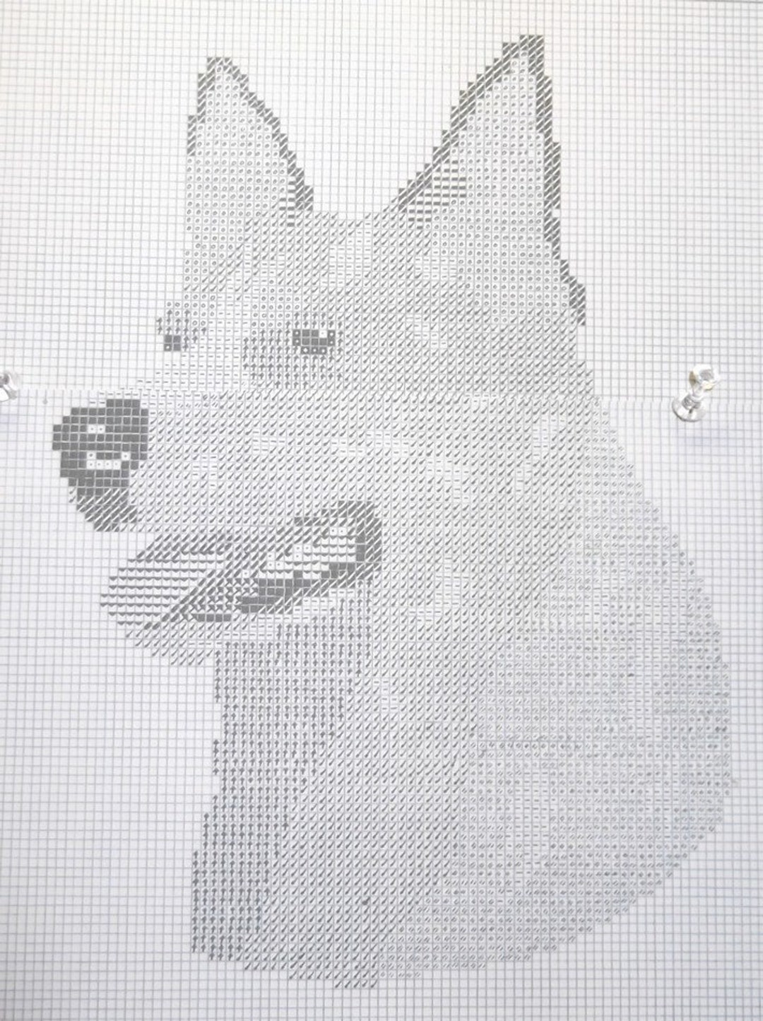Australian Cattle Dog Pattern - Etsy