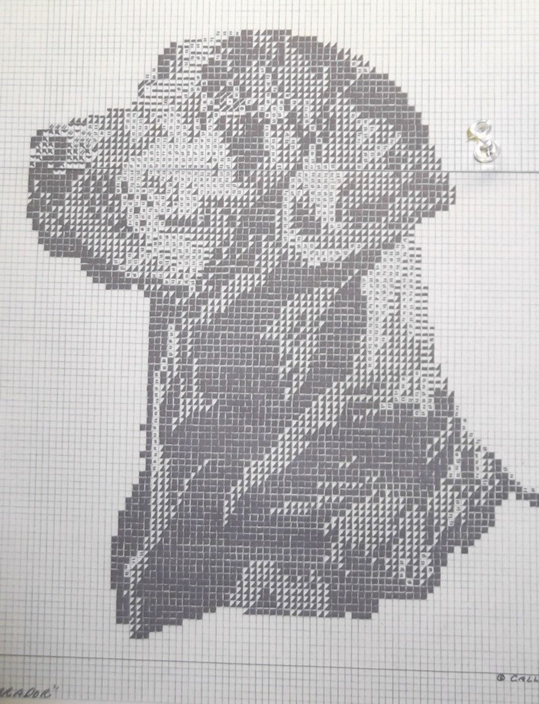 Black Labrador Dog Pattern - Etsy