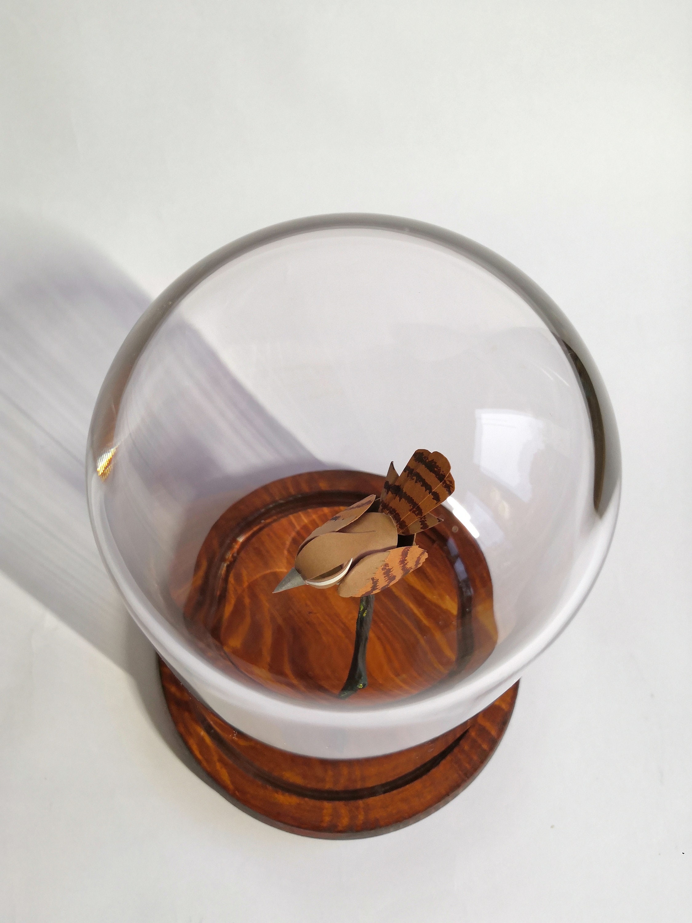 Wrenever, Wherever. Paper-cut Wren Bell Jar Sculpture - Etsy