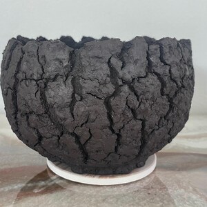 Stoneware Dark Brown Pot Stone Texture for Cacti, Caudex, Succulent ...