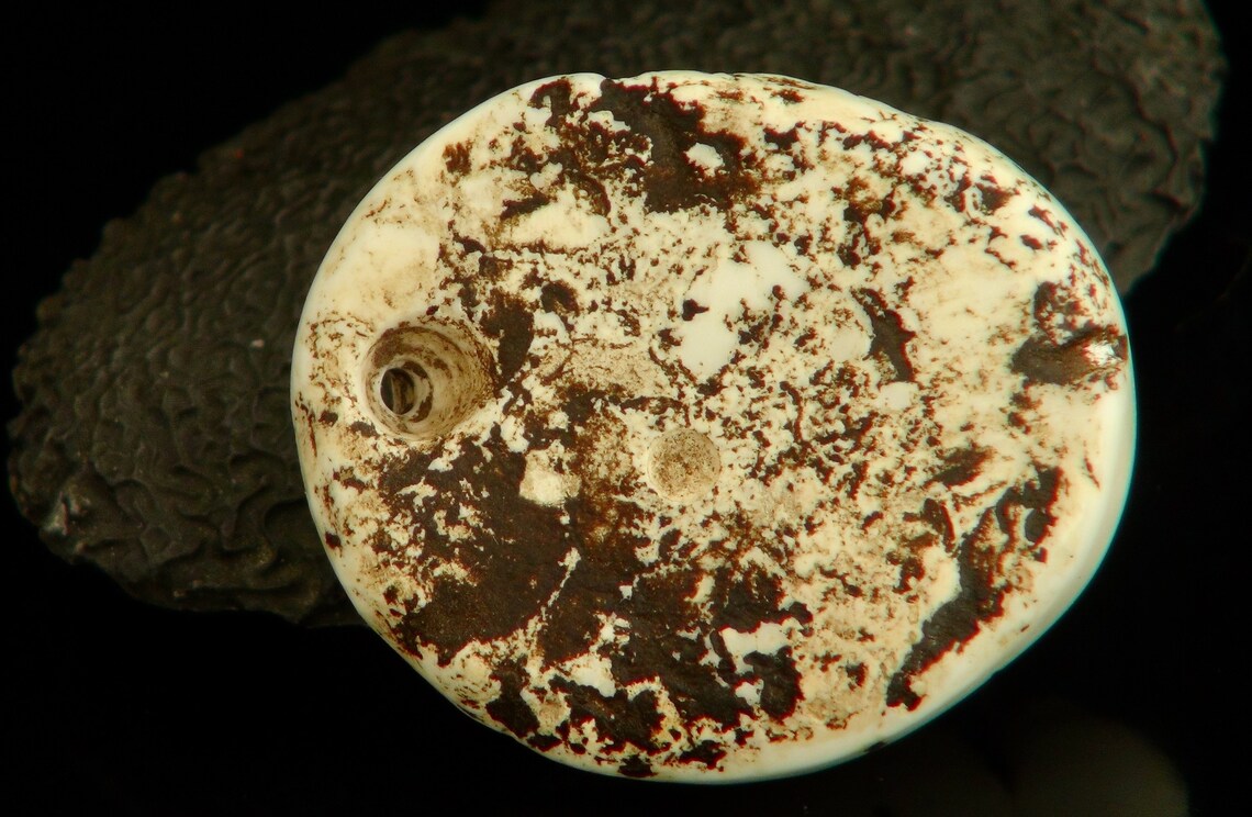 Very Rare Neolithic Chinese Shell Mask Pendant From the - Etsy