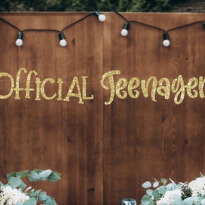 Official Teenager Banner, 13 Birthday, Official Teen, Finally Thirteen ...