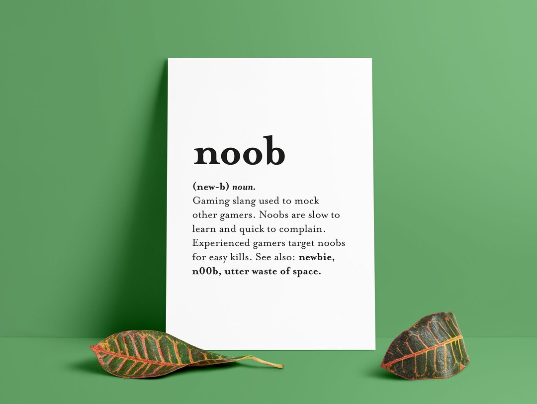 Noob Poster, Gift for Gamer, Games Room Prints - Etsy