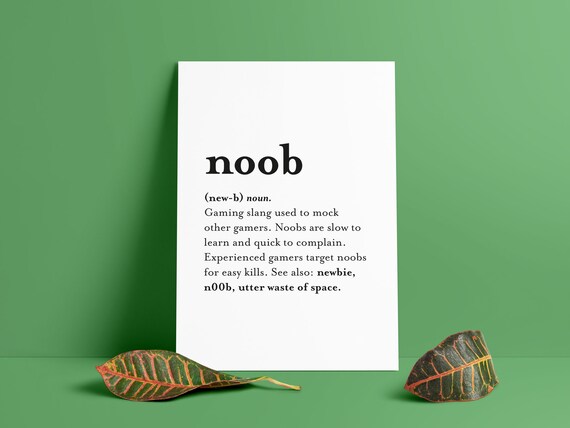 Noob Poster Gift for Gamer Games Room Prints | Etsy