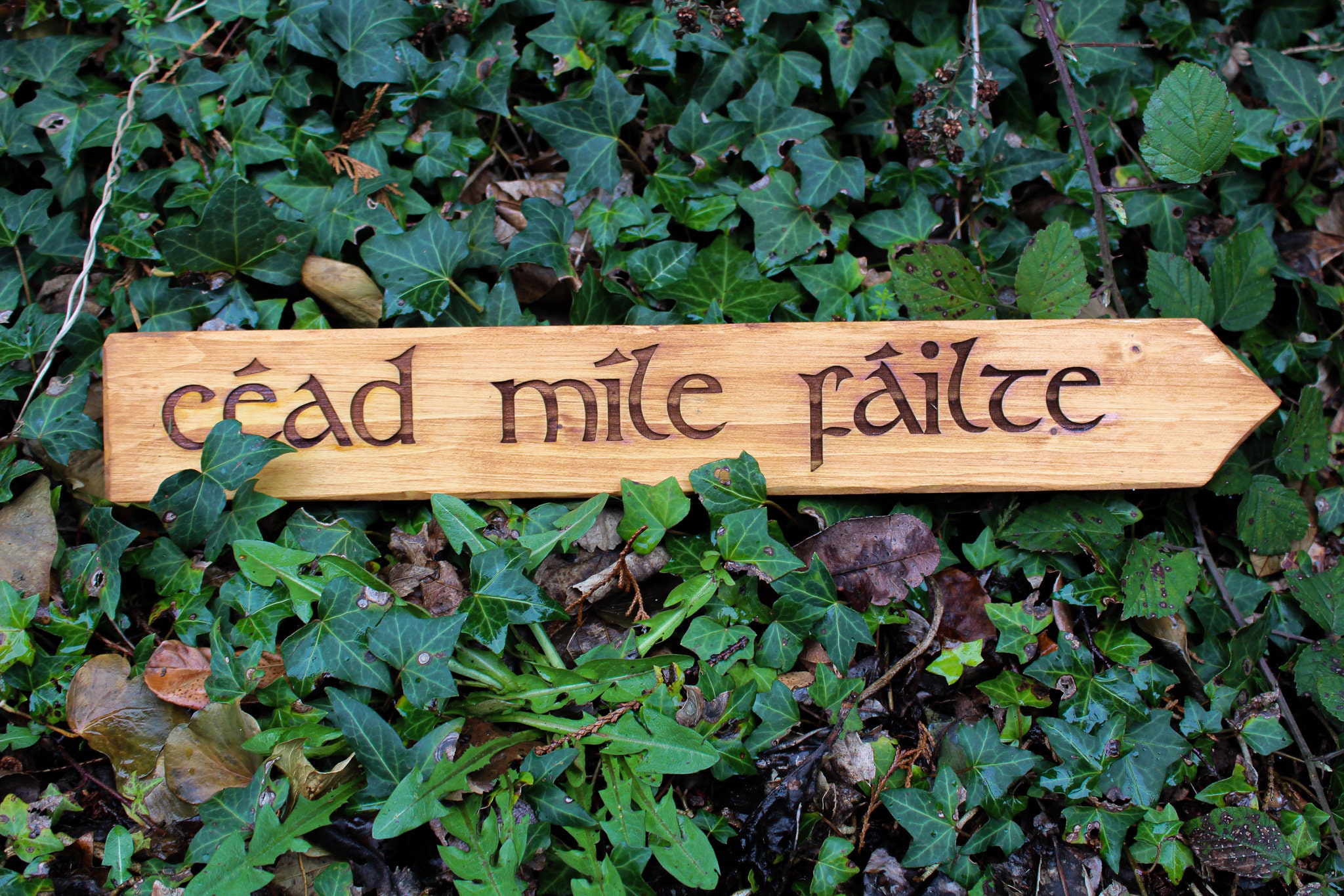 Cead Mile Failte A Thousand Welcomes Irish Welcome Sign Rustic - Etsy UK