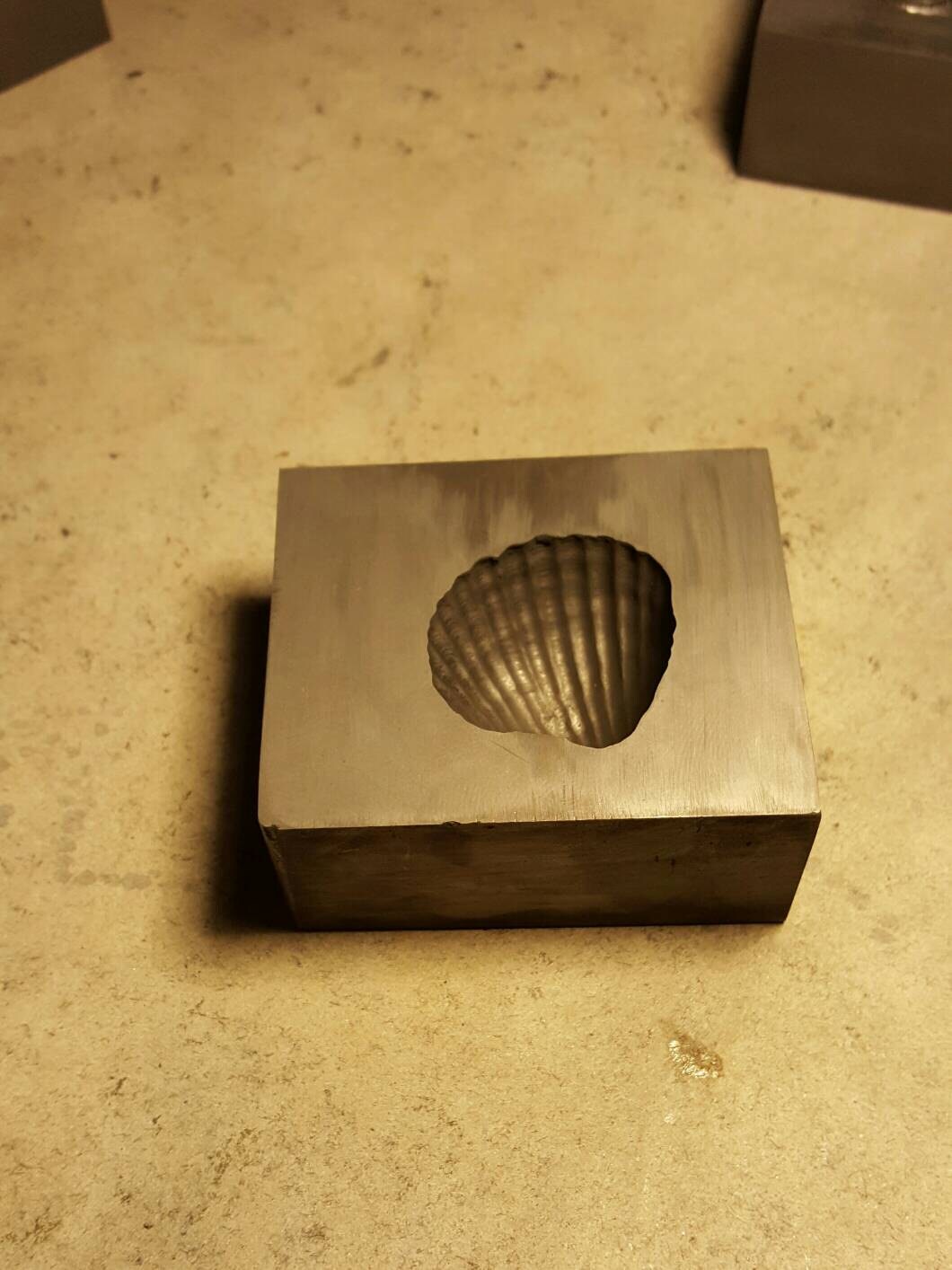 Graphite Mold: Sea Shell | Etsy