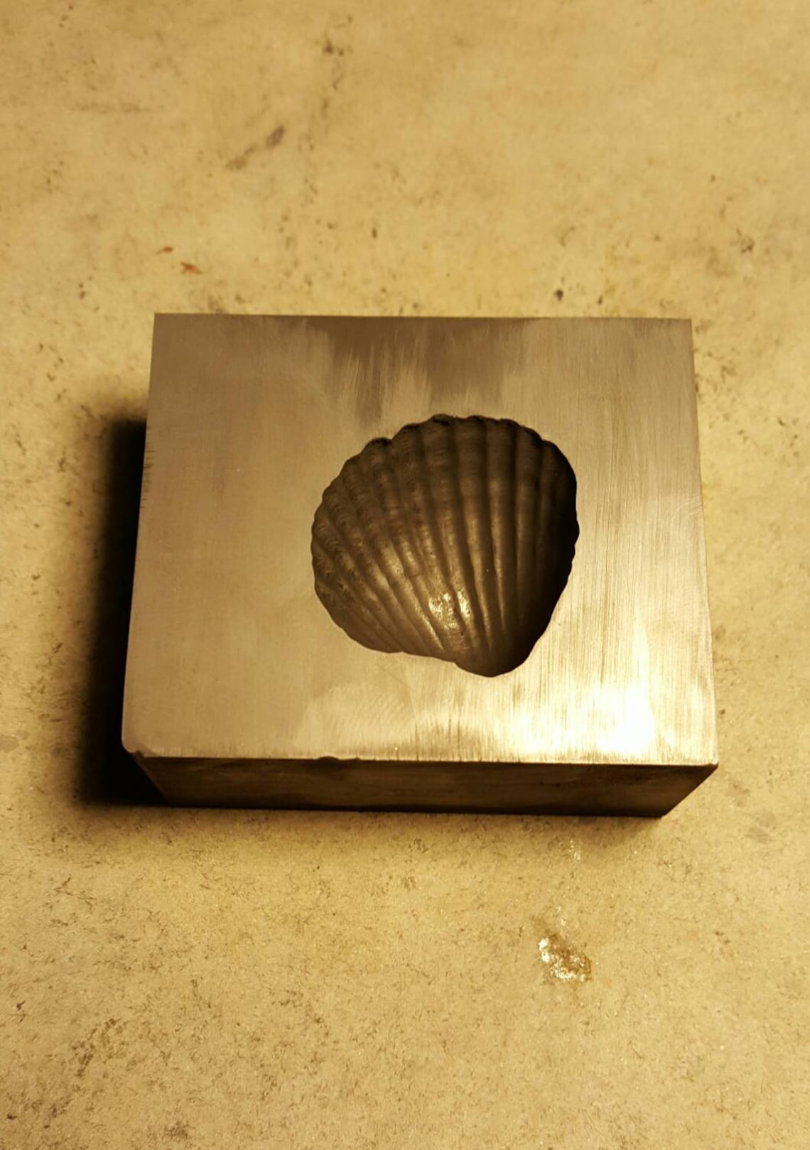 Graphite Mold: Sea Shell | Etsy