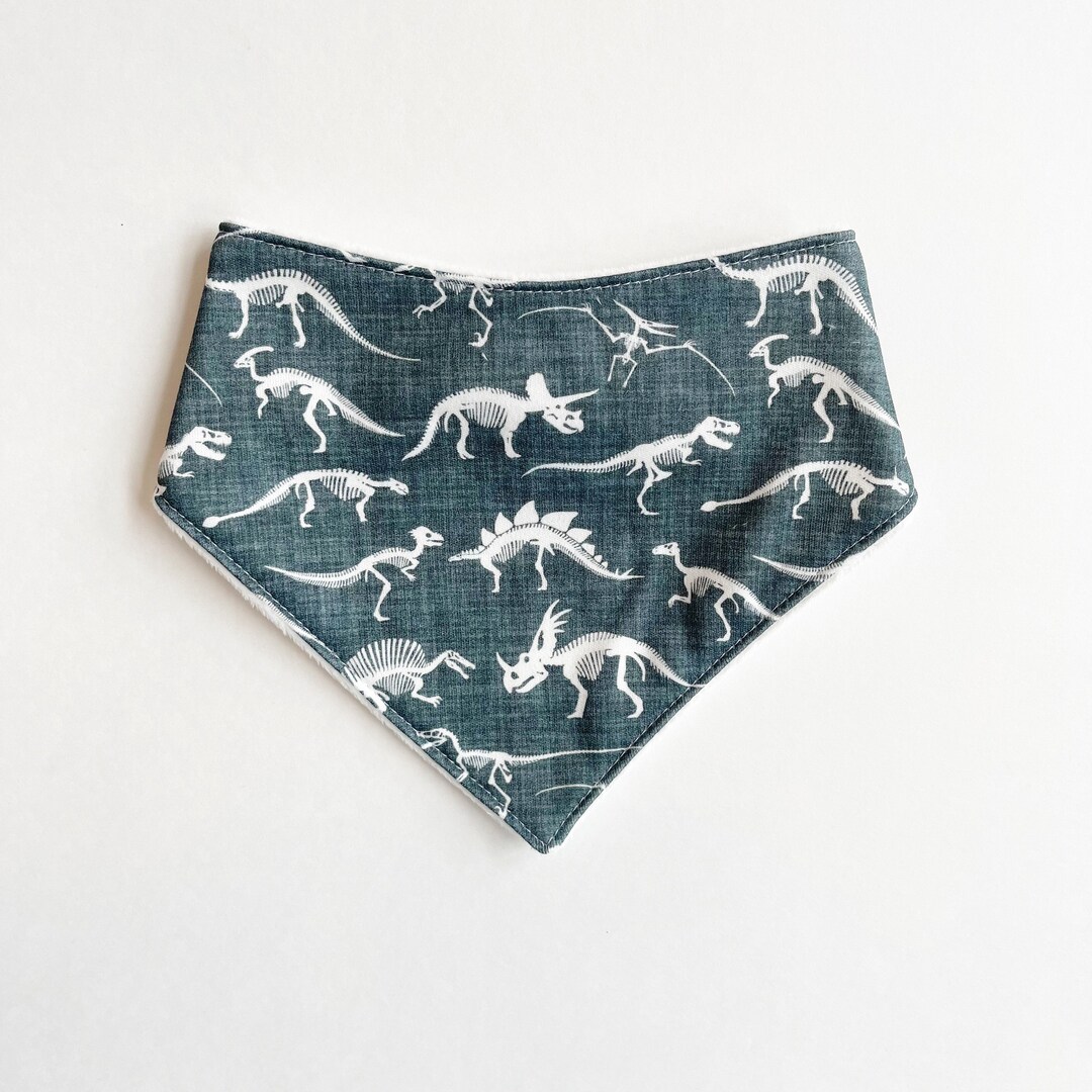 Organic Cotton Knit Drool Bib Dinosaur Bones, Blue With Soft Minky ...