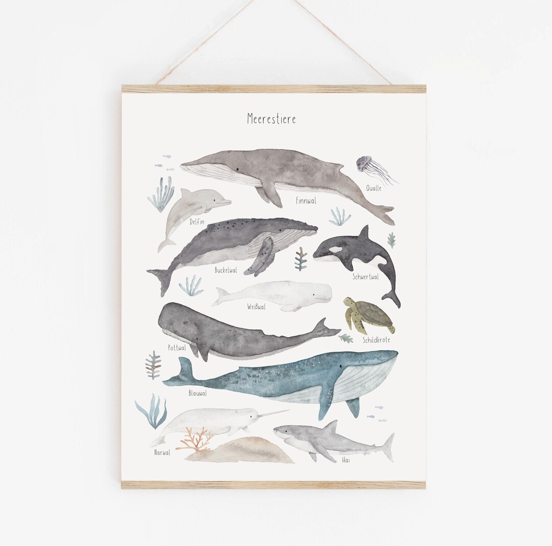 Poster/art Print Sea Creatures New - Etsy