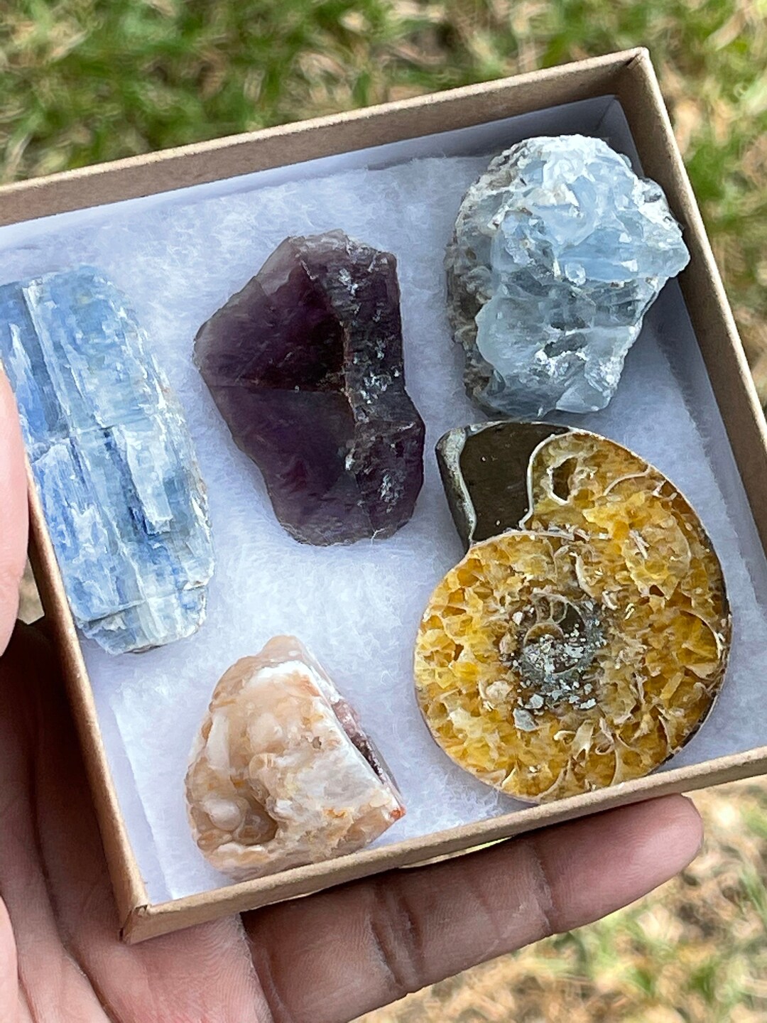 Crystal Collection Box #4, Kyanite, Auralite Capstone, Celestite ...