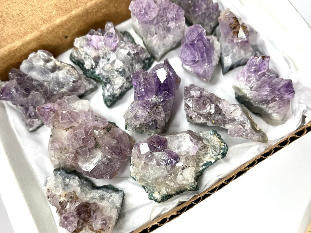 10-12 Piece Bulk Brazilian Amethyst Crystal Collection Box, Natural ...