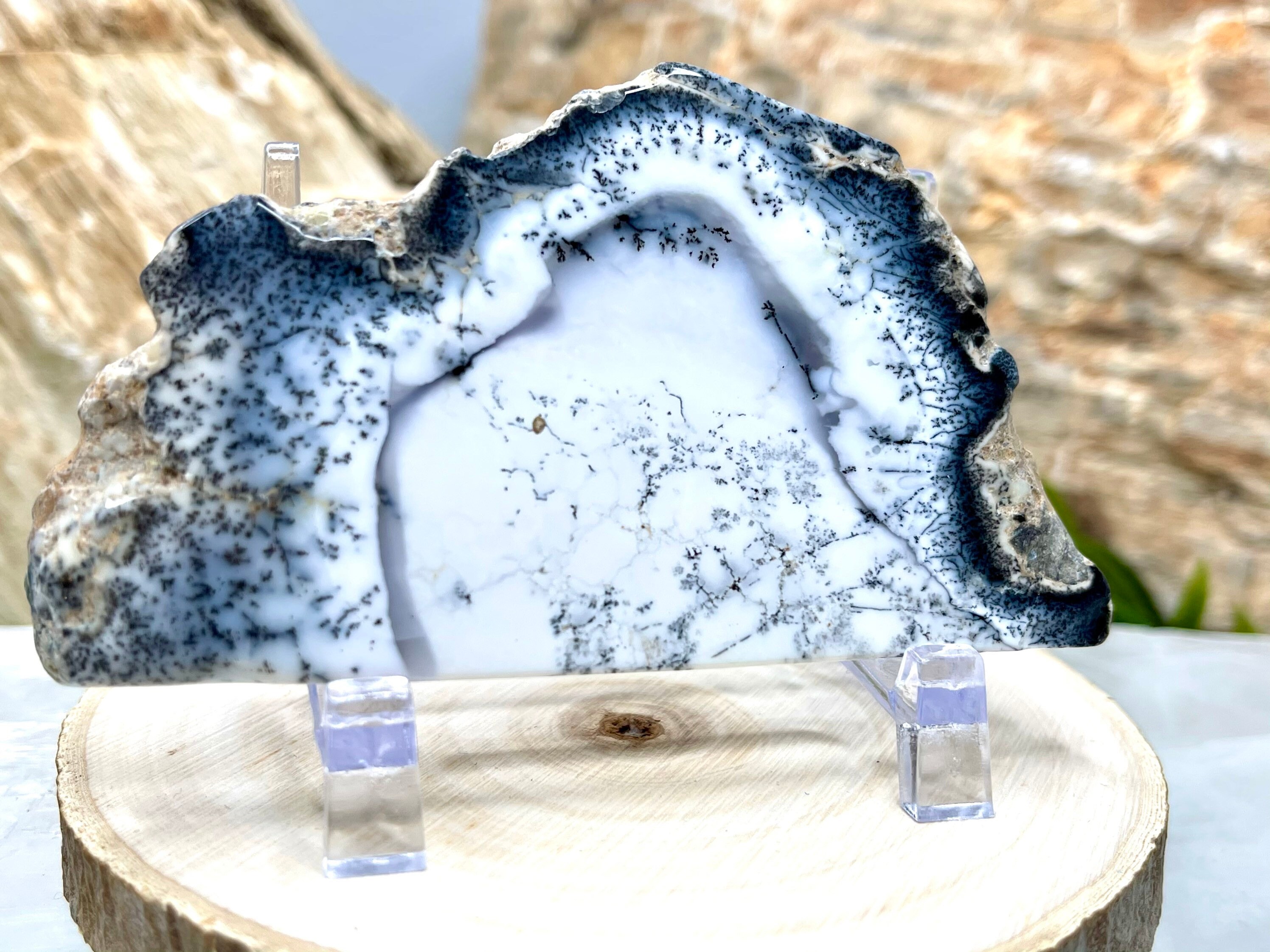 345 Carat Dendritic Opal Agate Slice With Stand Polished - Etsy Canada