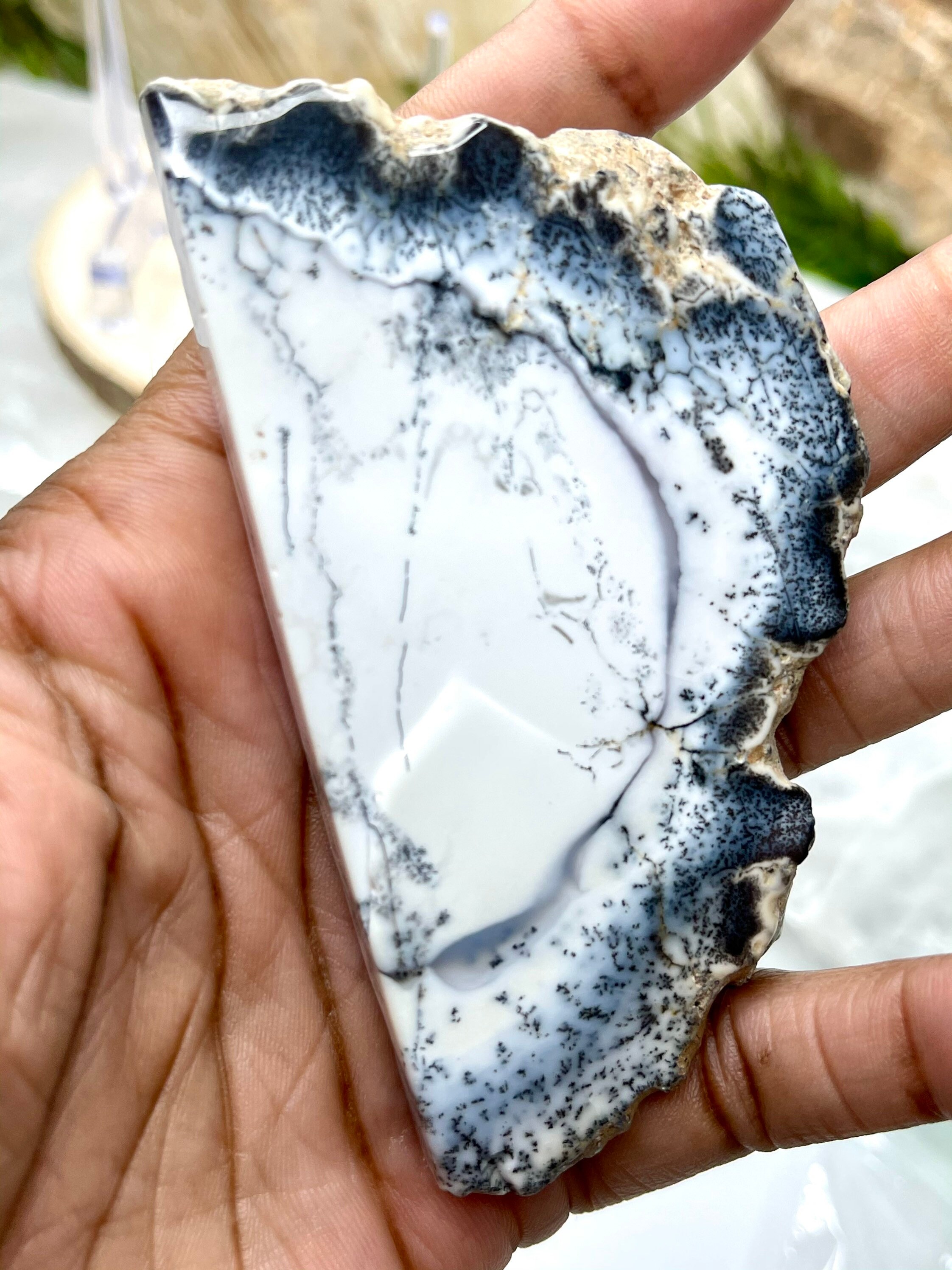 345 Carat Dendritic Opal Agate Slice With Stand Polished - Etsy Canada
