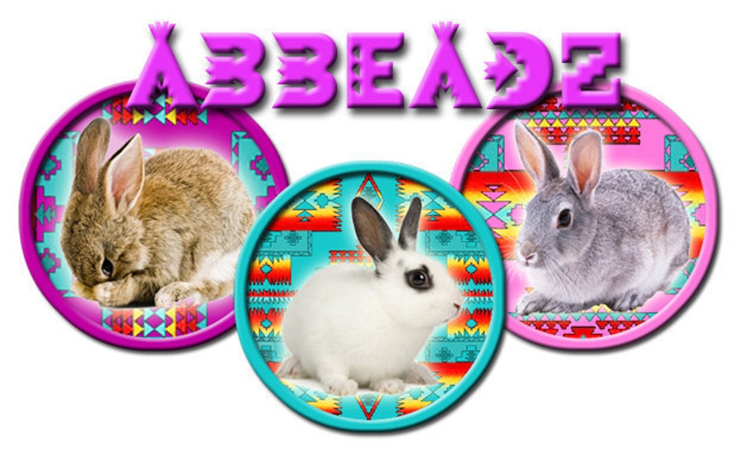 30 1 Round Easter Bunny Rabbits on Native American Backgrounds Bottle ...