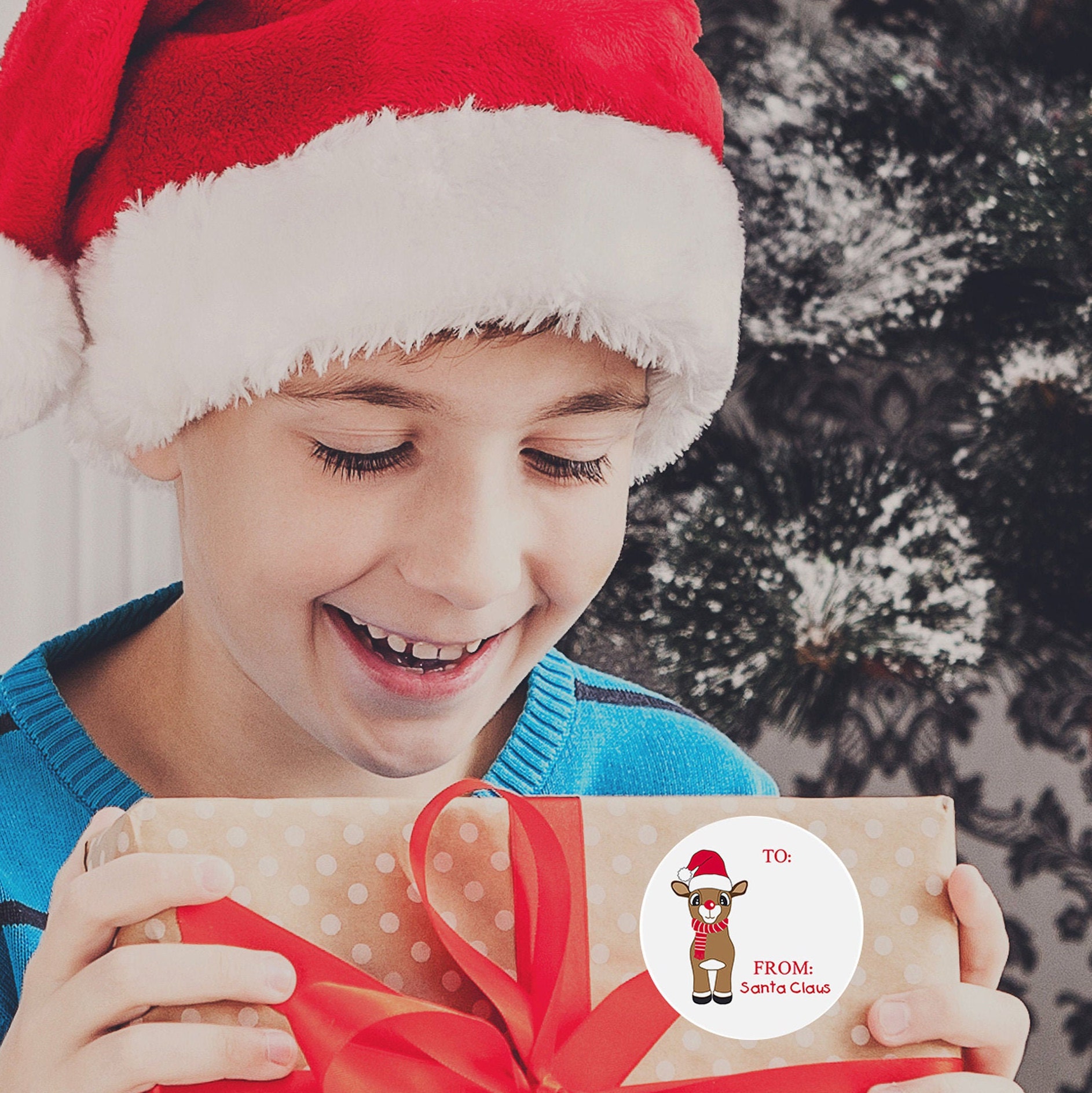 Christmas Tags From Santa Personalized Gift Labels Santa Christmas 