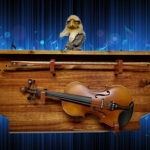 Violin Display Case - Etsy