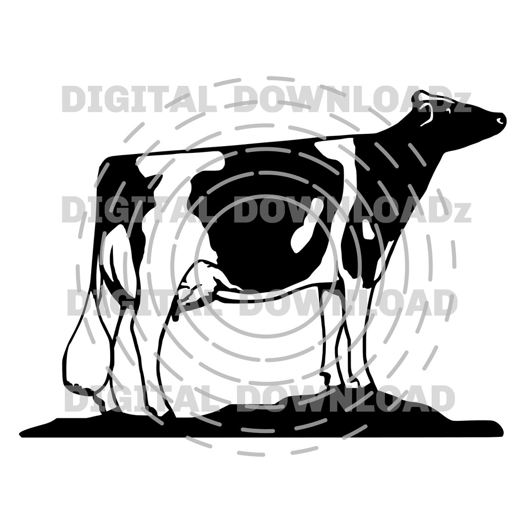 Holstein Dairy Cow Svg File,livestock Show Cattle Svg -vector Art ...