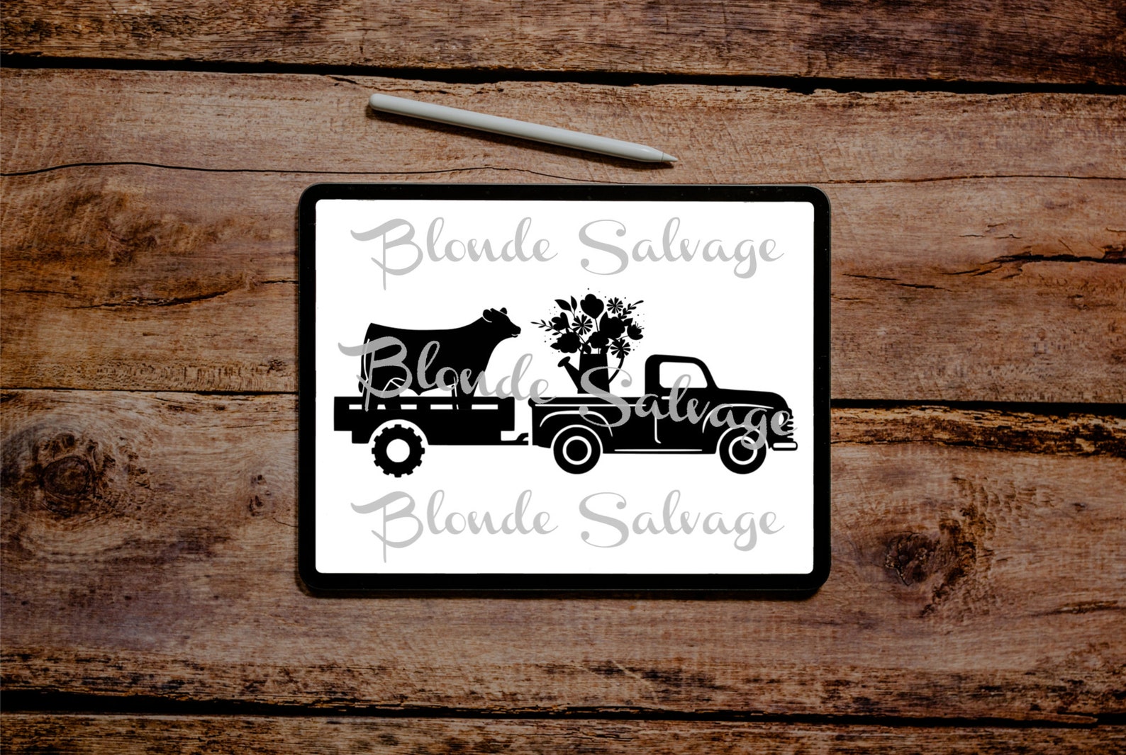 Show Steer Digital Download - SVG - Show Steer Design - Etsy