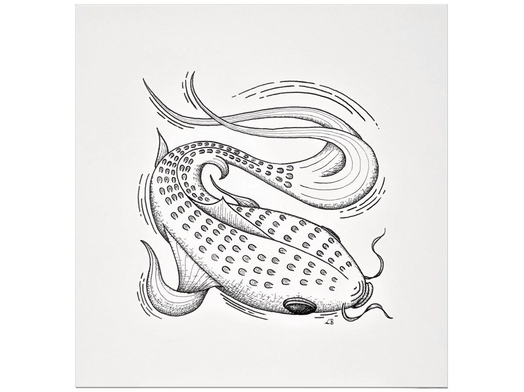 Carp. Original Drawing in Pen and Ink on Watercolour Paper. - Etsy