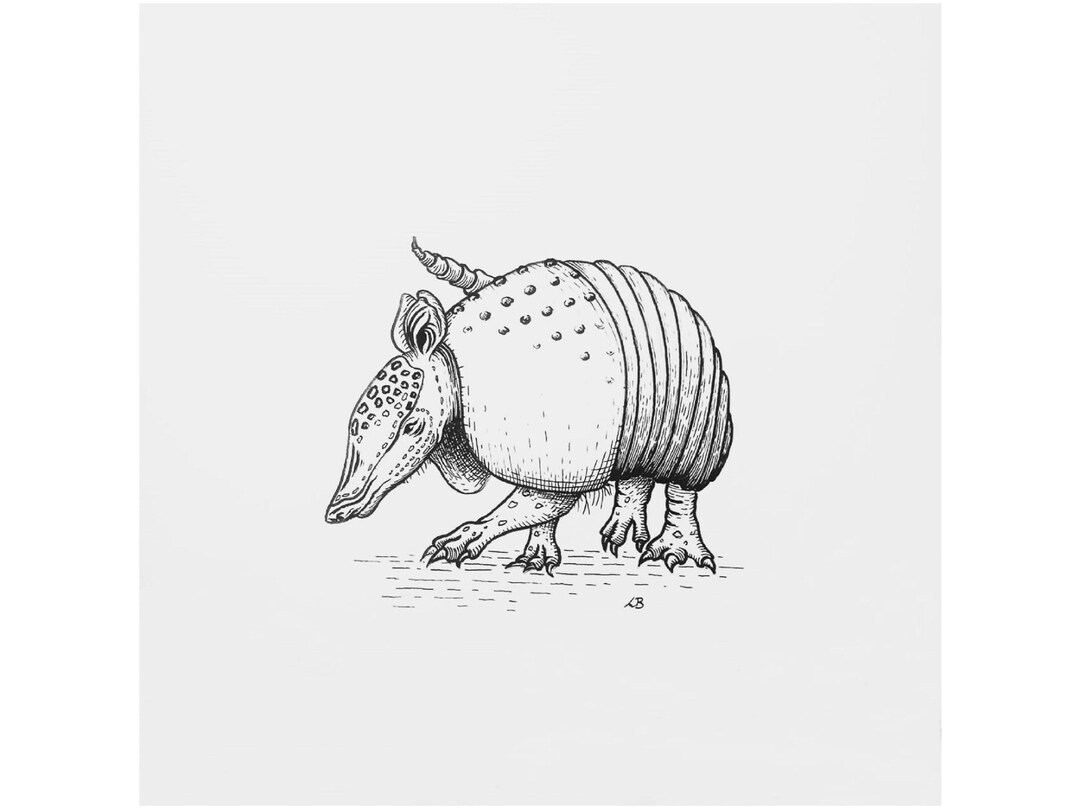 Armadillo. Original Drawing in Pen and Ink on Watercolour Paper. - Etsy