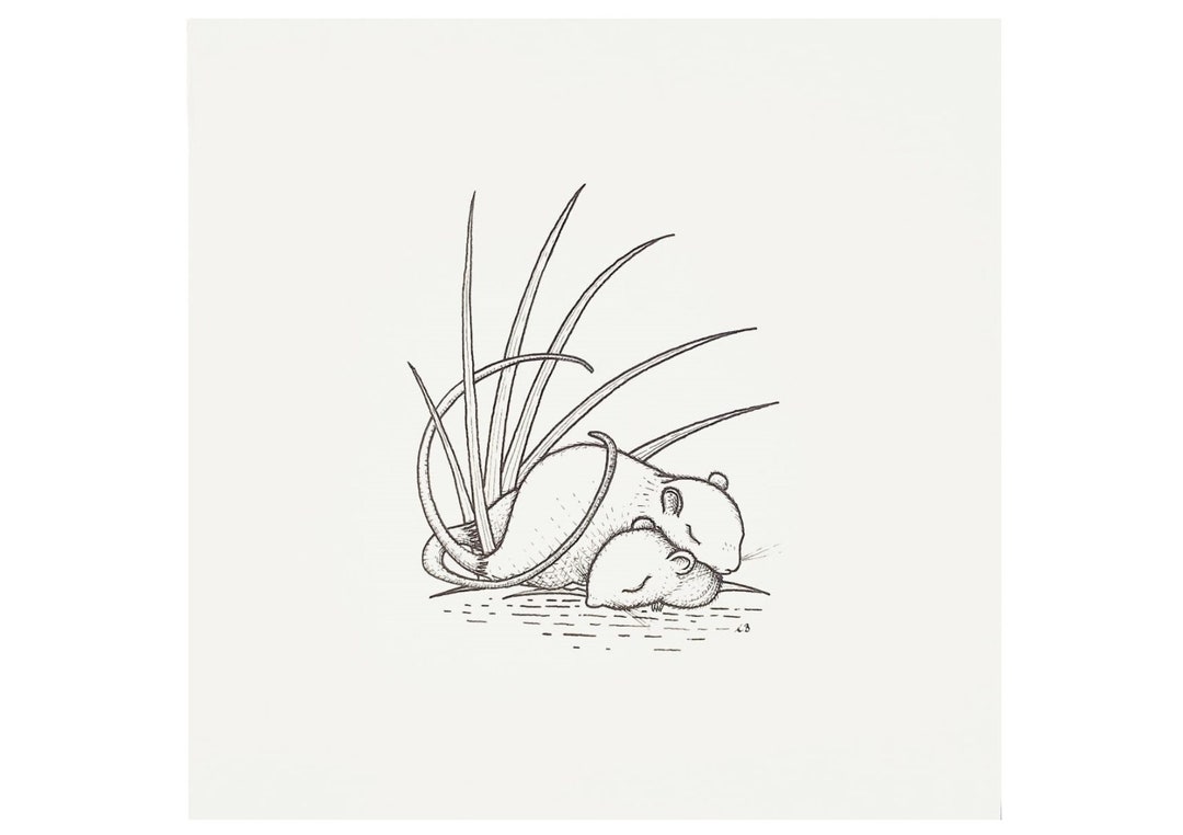 Sleeping Mice. Original Pen and Ink Drawing on Watercolour Paper. - Etsy