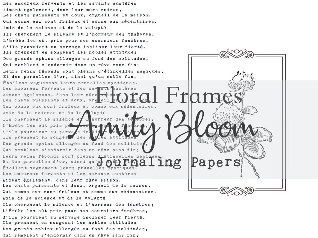 Floral Frames Journaling Papers - Etsy