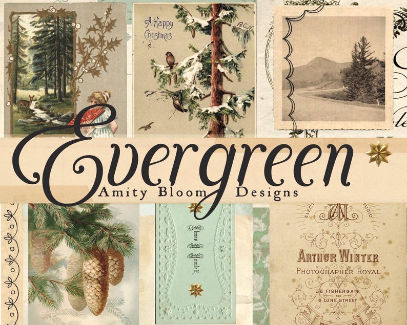 Evergreen | Vintage Decorative Paper & Journal Artist Kit | Journaling ...