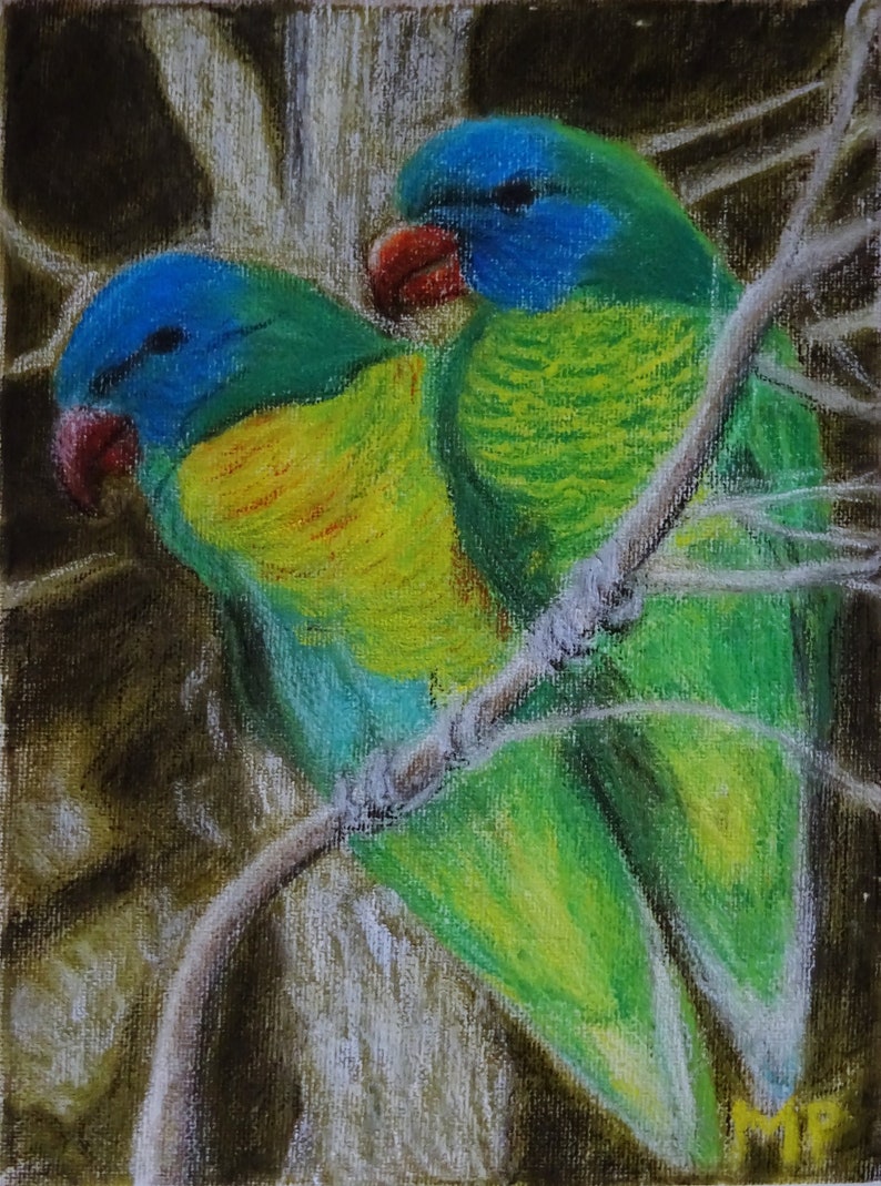 Parrot Love Soft Pastel on Canvas - Etsy