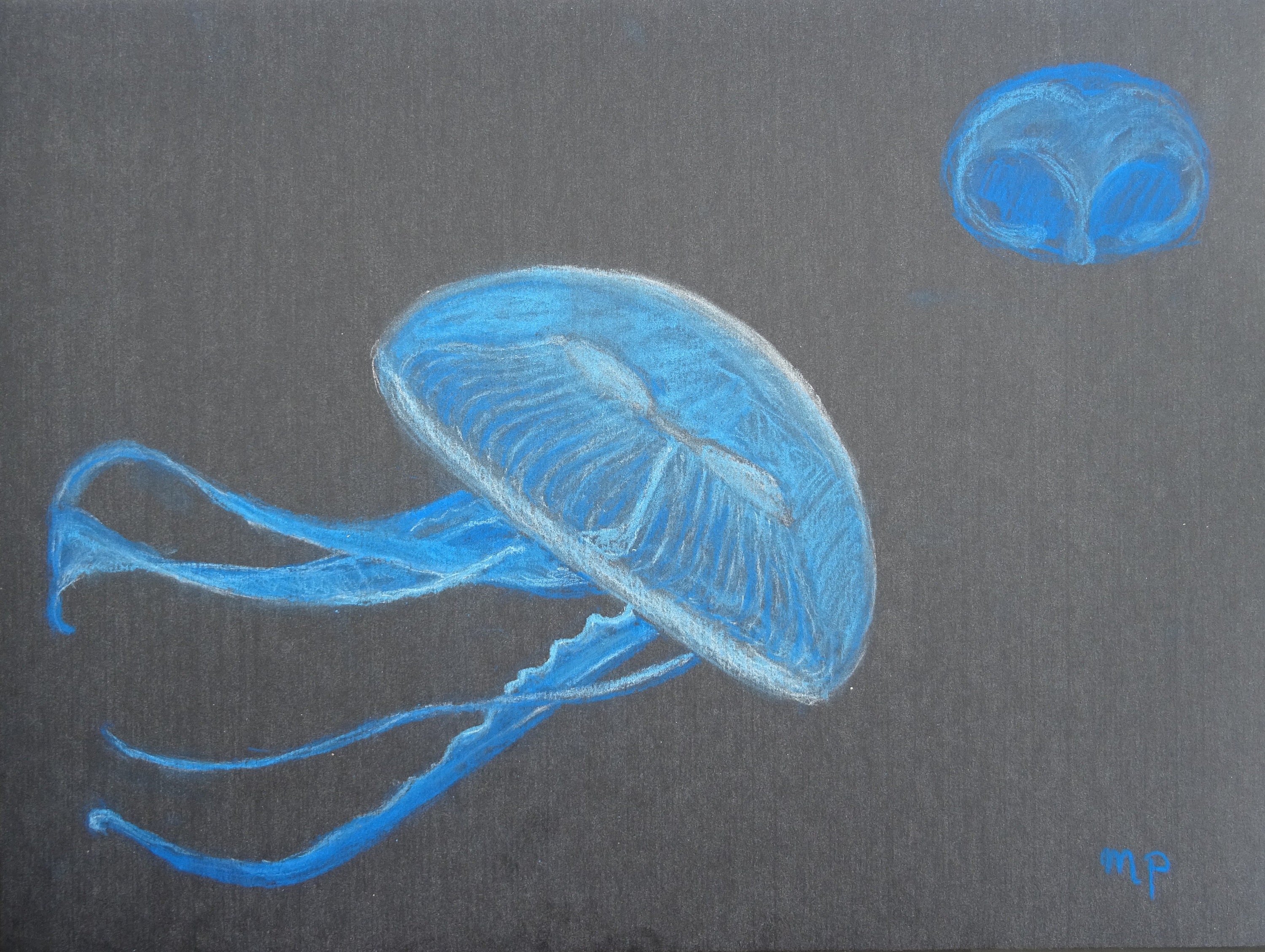 Oil Pastel Jellyfish | ubicaciondepersonas.cdmx.gob.mx Oil Pastel Jellyfish | ubicaciondepersonas.cdmx.gob.mx