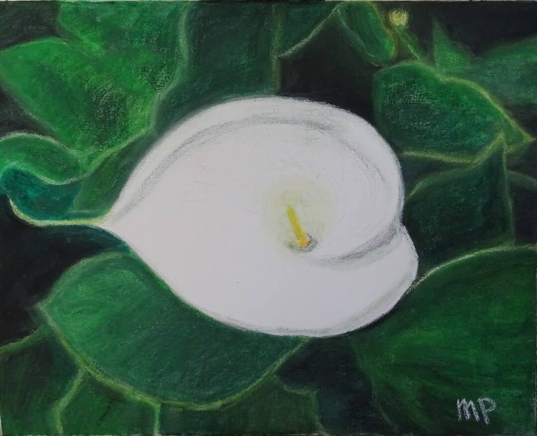Calla Lily Flower Oil Pastel on Canvas - Etsy