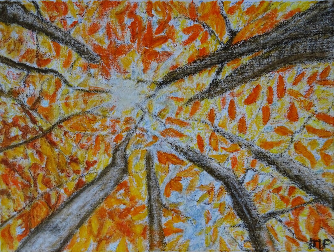 Colours of Fall Oil Pastel - Etsy