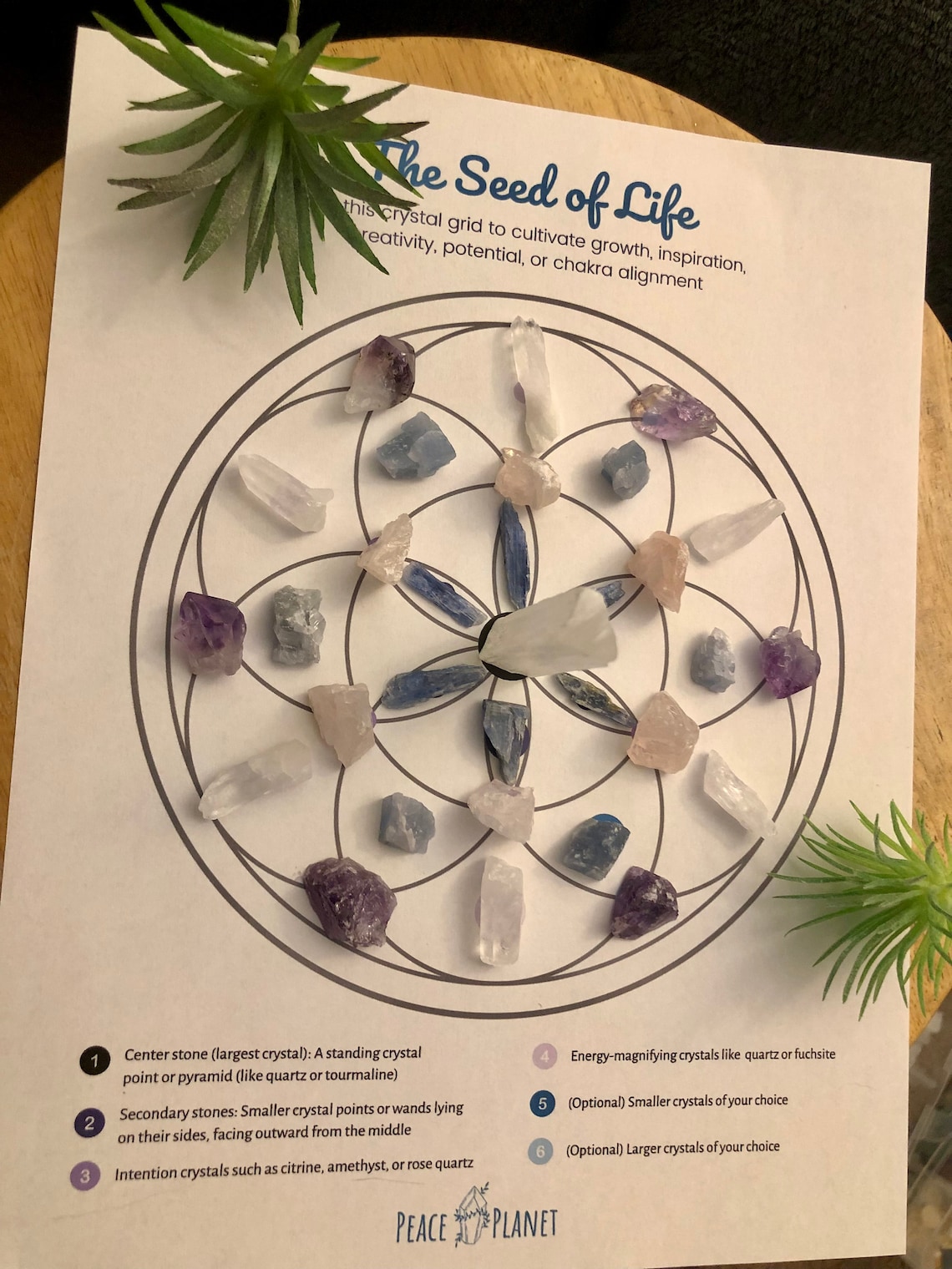 Crystal Grid Template Download - Seed of Life - PDF Digital File ONLY ...