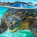 Sea Turtle Drawing, Green Sea Turtle Art Print, Beach Decor, Sea Turtle ...