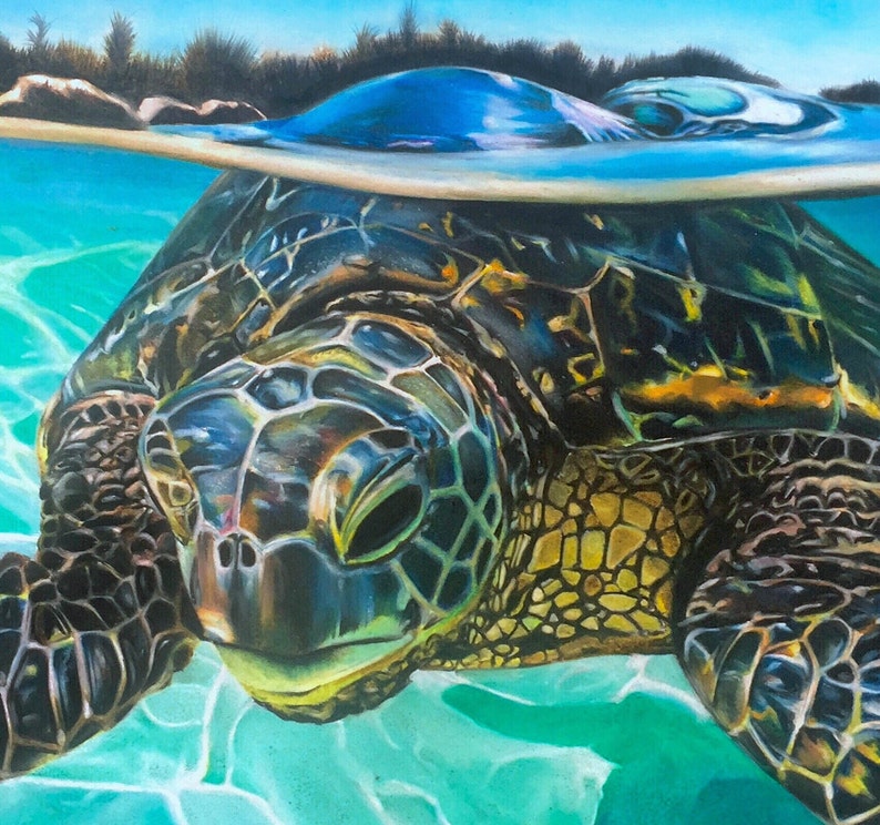 Sea Turtle Drawing, Green Sea Turtle Art Print, Beach Decor, Sea Turtle ...