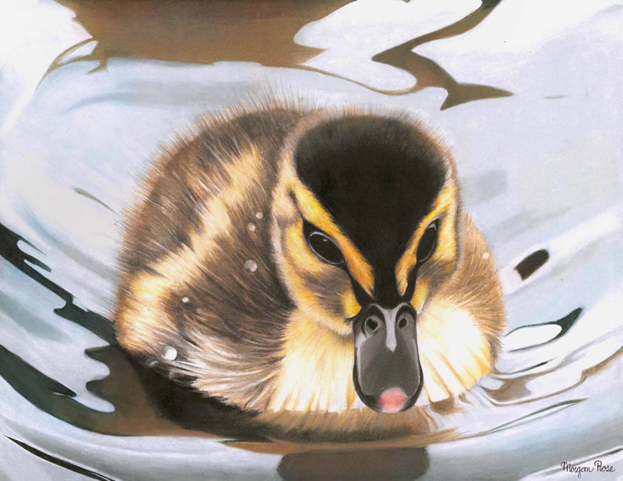 Ducking Drawing, Colored Pencil Drawing Giclée Print, Mallard Duckling ...