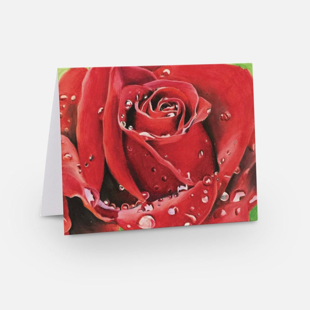 Illustrated Rose Notecard, Blank, Rose Drawing Greeting Cards, Blank ...