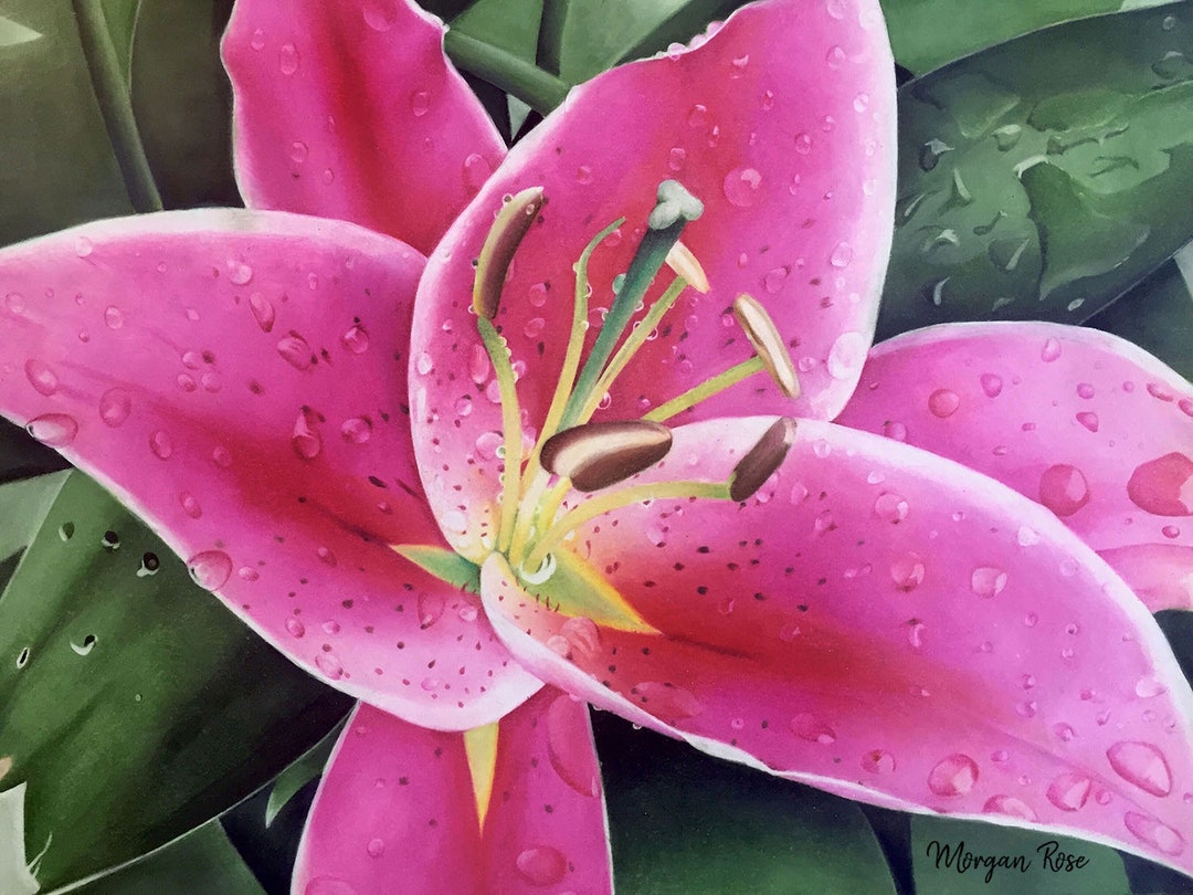 Lily Art Print, Original Colored Pencil Drawing Giclée Print, Lily ...