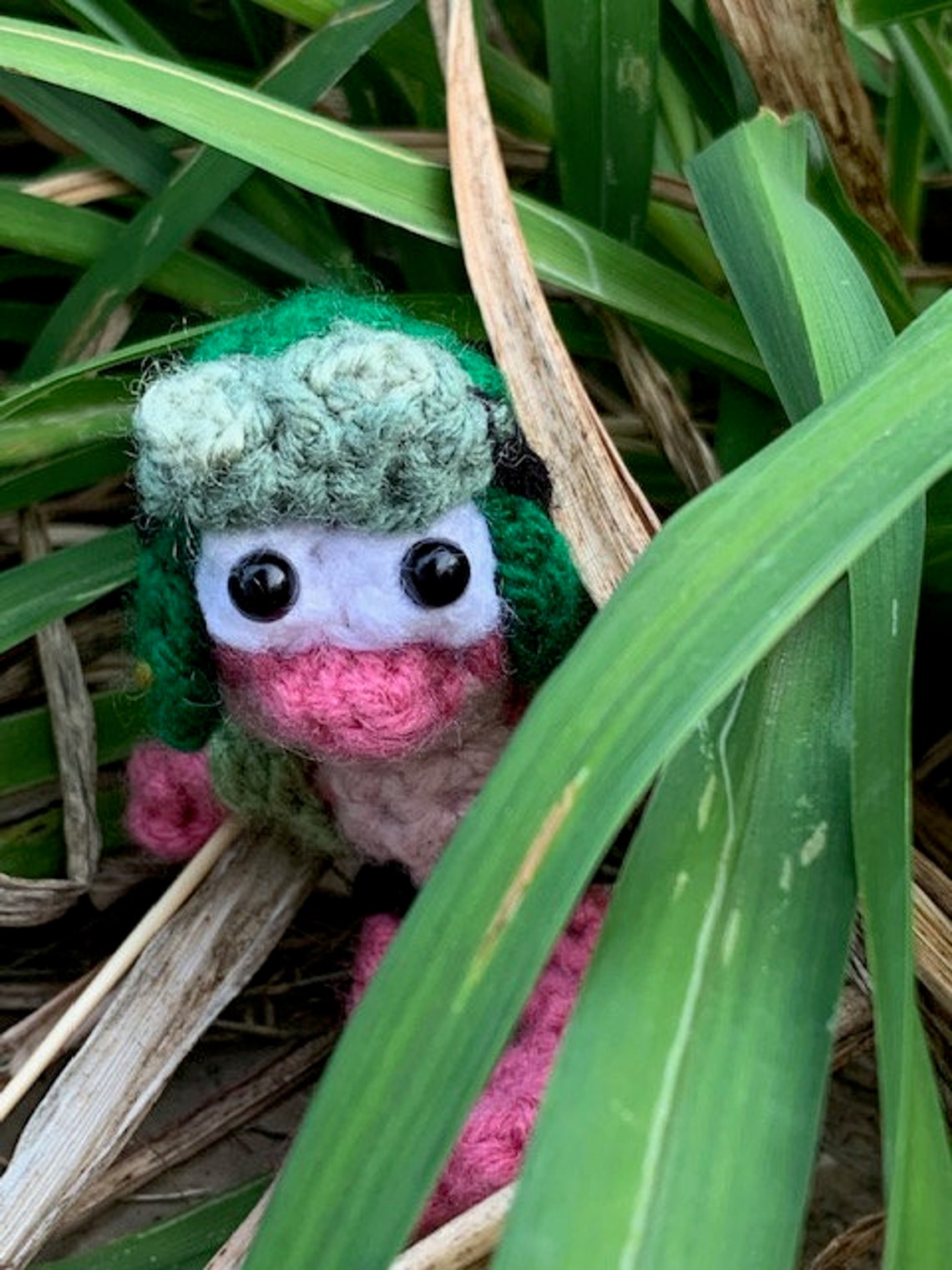 PDF PATTERN Amigurumi Mini Sprig From "amphibia" - Etsy Canada
