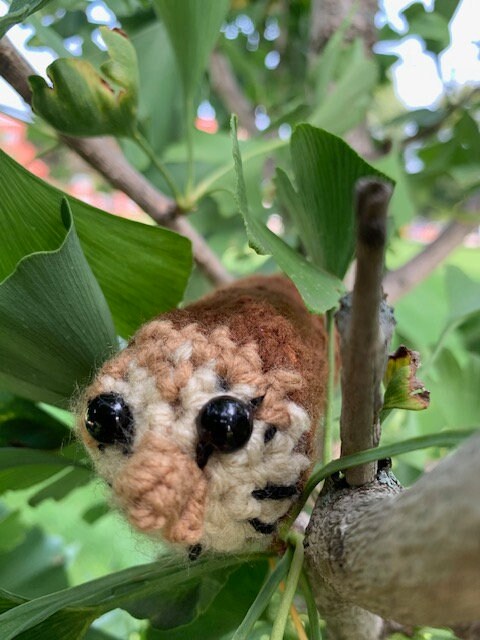 PDF PATTERN Amigurumi Hooty Finger Puppet From the Owl | Etsy