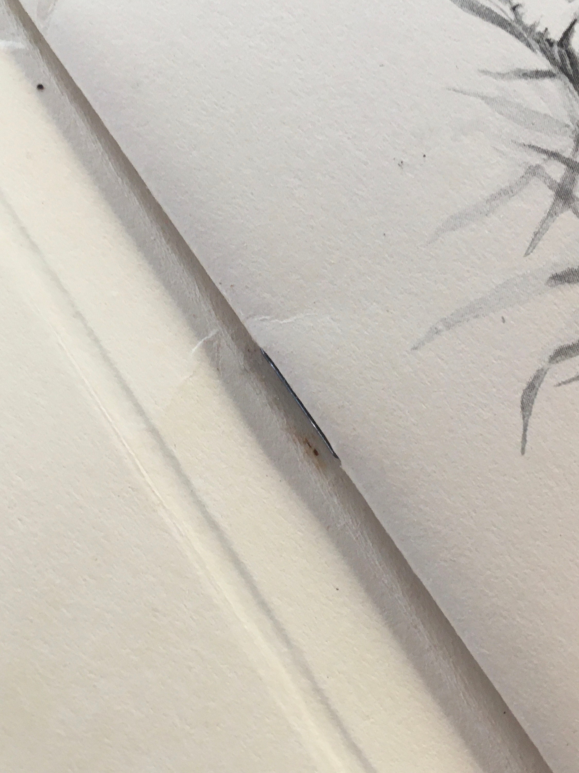 Antique1906 Confirmation Booklet/pamphletintact Religious Paper ...