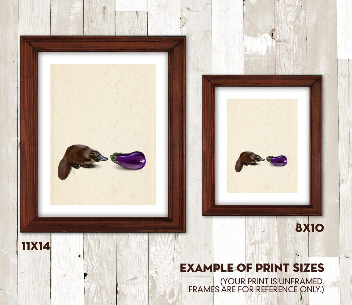 Platypus Fine Art Print 11x14 Art Print - Etsy