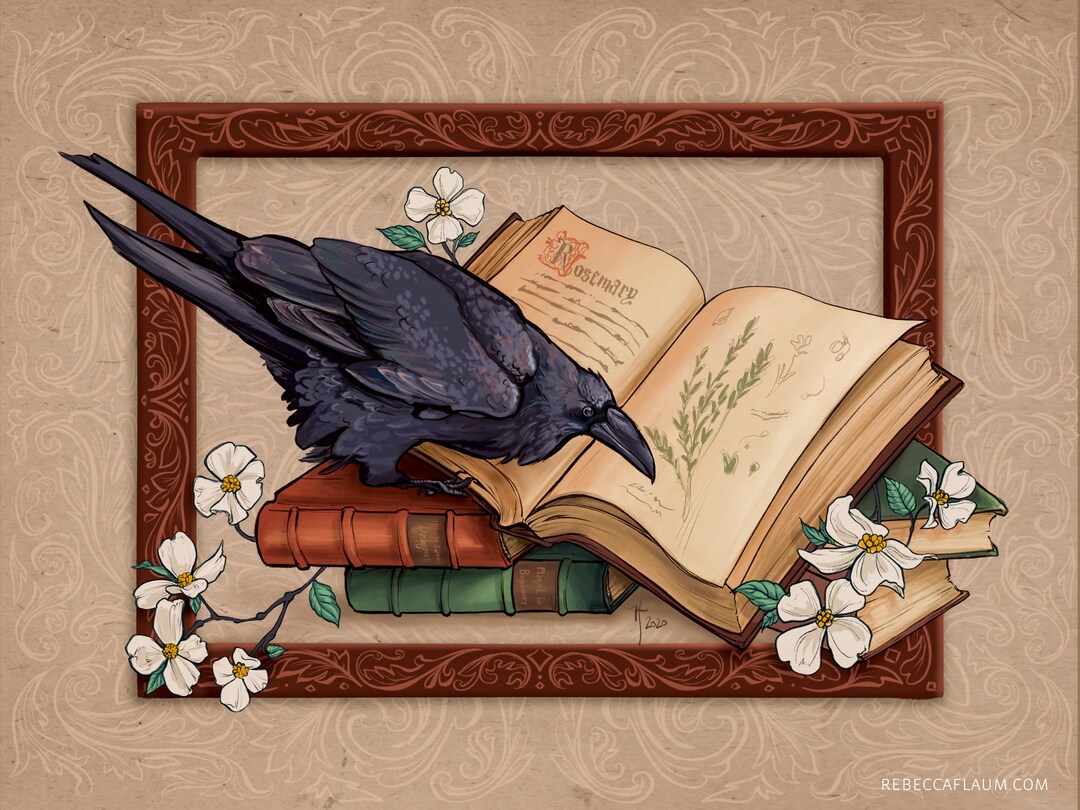Witchy Raven With Books 11x14 Art Print - Etsy